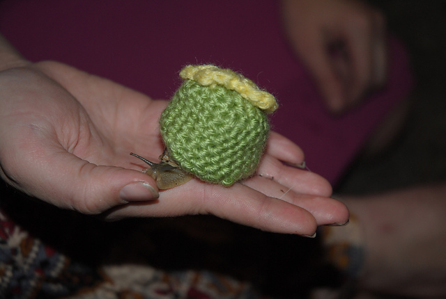 Ravelry: Snail Sweater pattern by Laurynn Burns