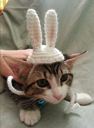 Ravelry: 7 Cat Hat Patterns pattern by Erica McBride