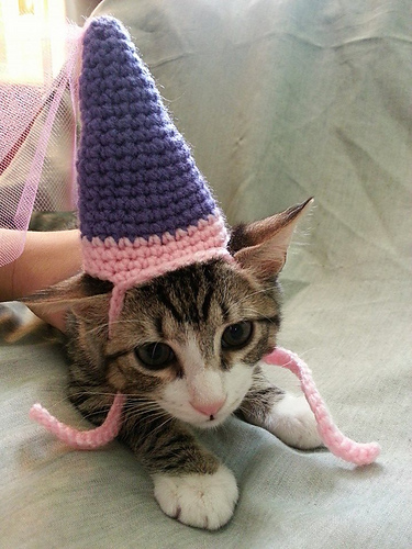 Ravelry: 7 Cat Hat Patterns pattern by Erica McBride