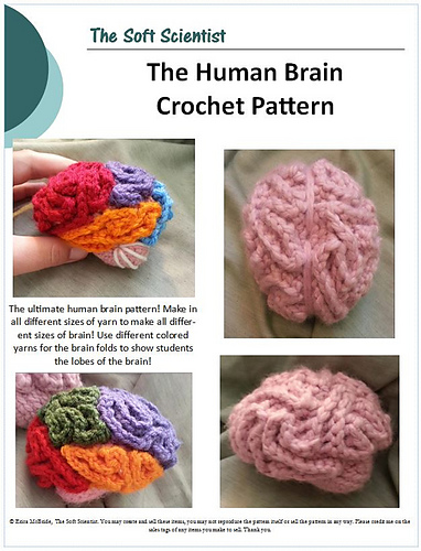 Ravelry: Human Brain Lobe Model pattern by Erica McBride