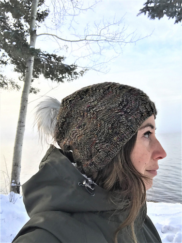 Ravelry: Reforestation pattern by Caitlin Shepherd