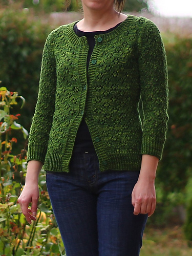 Ravelry: Springfield pattern by Annamária Ötvös (11wildswans)