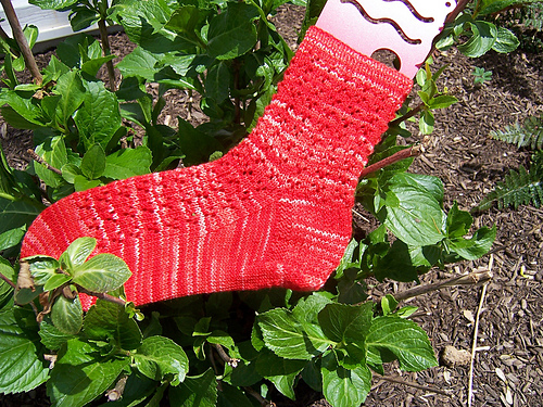 Ravelry: Lace Rib Socks pattern by Charlene Schurch and Beth Parrott