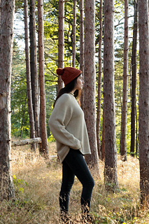 Ravelry: Pascal pattern by Leila Raven