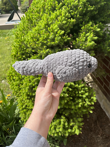 Ravelry: Cuddly Manatee pattern by Rachel Shadoff
