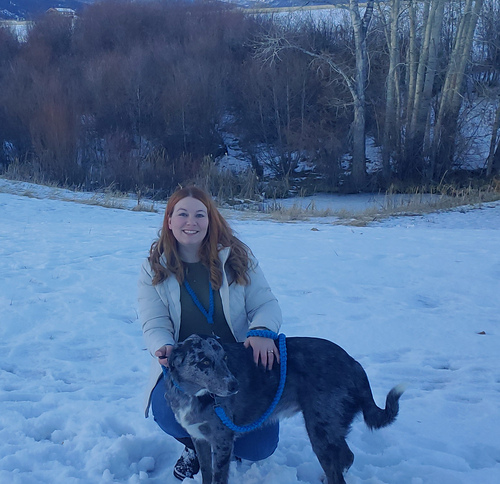 Ravelry: Baloo's Crochet Leash pattern by Rachel Rae Crochet