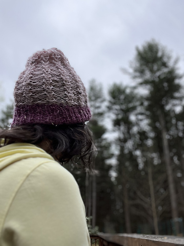 Ravelry: Extra Twisted Hat pattern by Bluestockinette Designs