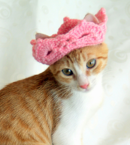 Ravelry: Pet Crown for Dogs and Cats pattern by Rebecca Davis