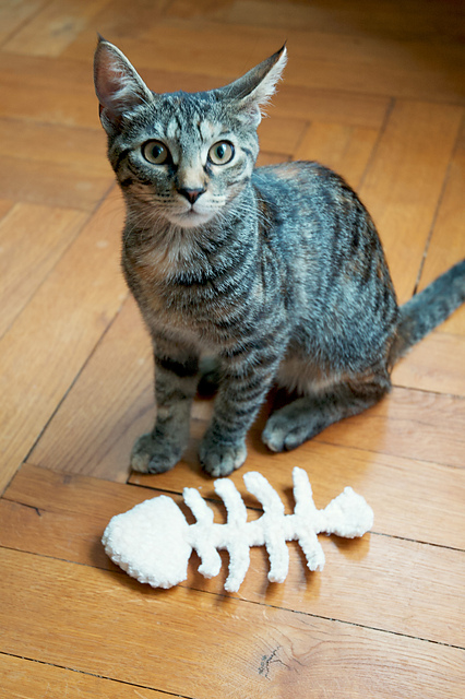 Ravelry: Snuggle Fishbone Halloween Decor & Cat Toy pattern by Roxy Crochet