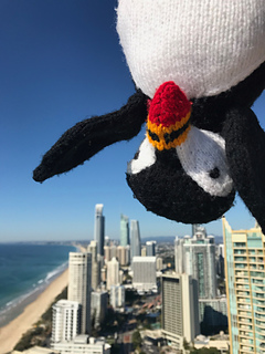 Ravelry: Percival Puffin pattern by Ruth Haydock