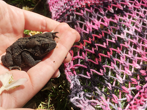 Ravelry: Flippy Floppy Fun Shawl pattern by Samantha Troia