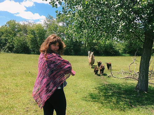 Ravelry: Flippy Floppy Fun Shawl pattern by Samantha Troia