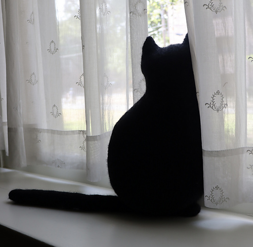 Ravelry: The Window Cat pattern by Sara Elizabeth Kellner