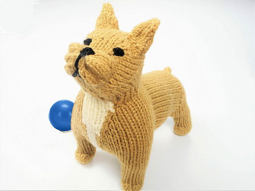 French bulldog : r/knitting