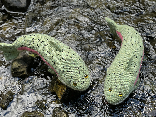 Ravelry: Rainbow Trout pattern by Sara Elizabeth Kellner
