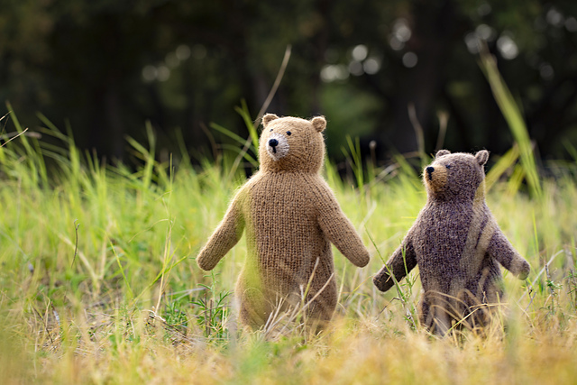 Ravelry: Grizzly Bear pattern by Sara Elizabeth Kellner