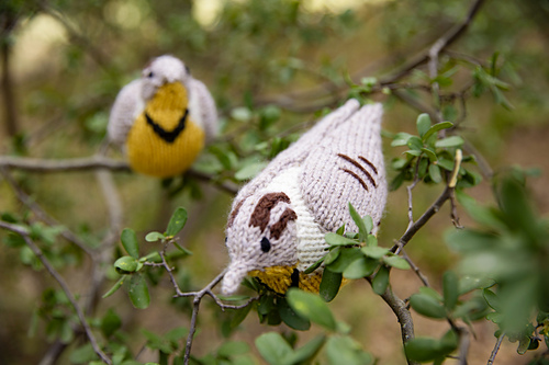 Ravelry: Western Meadowlark pattern by Sara Elizabeth Kellner