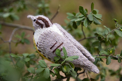 Ravelry: Western Meadowlark pattern by Sara Elizabeth Kellner