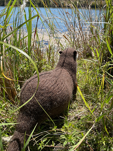 Ravelry: North American River Otter pattern by Sara Elizabeth Kellner