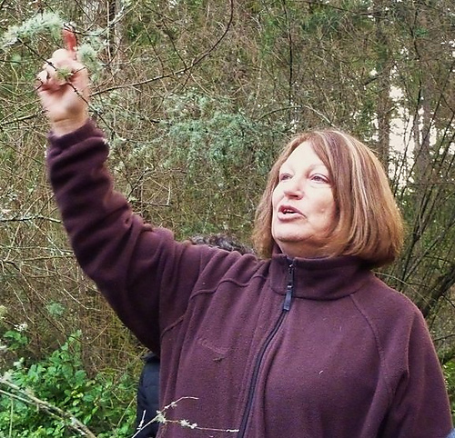 Ravelry: Wild Hare pattern by Mary Scott Huff