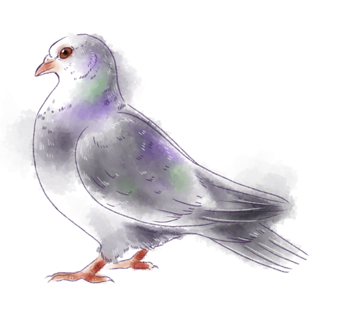 Ravelry: Piebald pattern by Shai Kilström