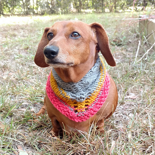 Ravelry: Dachshund Scarf pattern by Devon Finney