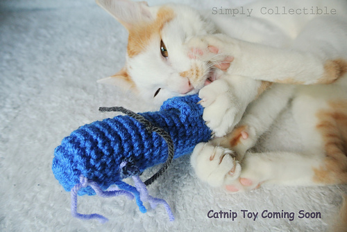 Ravelry: Cat Catnip Pouch & Toy pattern by Celina Lane