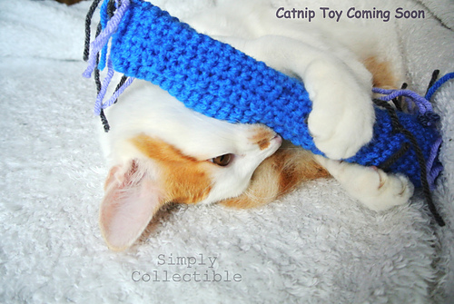 Ravelry: Cat Catnip Pouch & Toy pattern by Celina Lane
