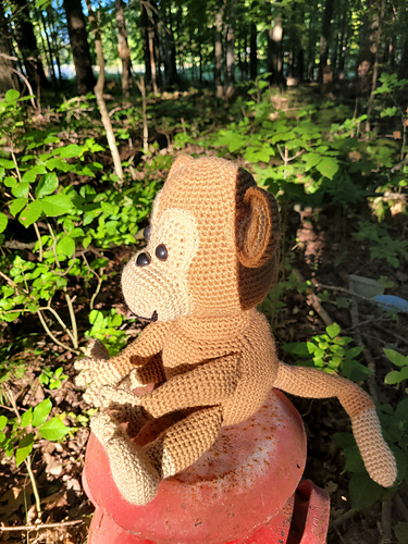 Ravelry: Monkey Stash Jar pattern by Raechel Kammers