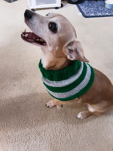 Ravelry: Simple Snood for Greyhounds pattern by Sandra Levey