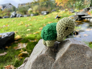 Ravelry: stitchnquilt's Turtle Bob (tartaruga Bob)