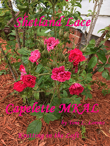 Ravelry: Shetland Lace Capelette pattern by Toni L. Lorenz