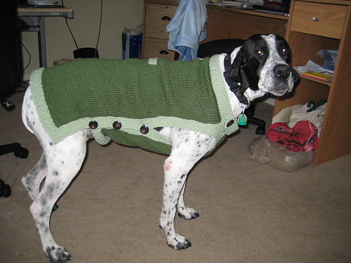 Ravelry: Francesca / Sharkey pattern by Lion Brand Yarn