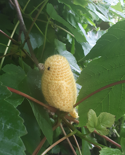 Ravelry: Crocheted Canary pattern by L Hodgins