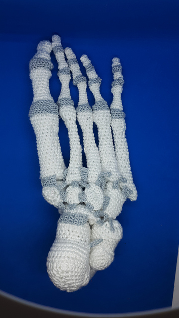 Ravelry: life-sized foot skeleton pattern by L Hodgins