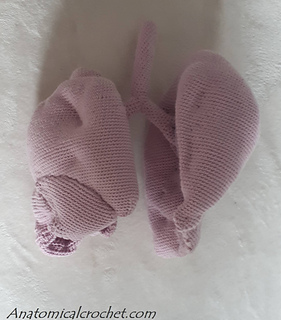 Ravelry: Anatomical lungs pattern by L Hodgins