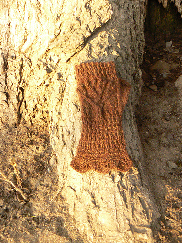 Ravelry: Entwined pattern by Karen Fournier