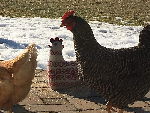 Ravelry: Fancy Hen pattern by Ella Austin
