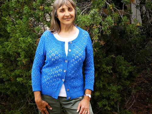 Ravelry: Springfield pattern by Annamária Ötvös (11wildswans)