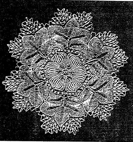 Ravelry: Adonisröschen pattern by Herbert Niebling