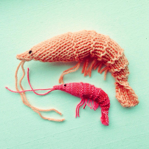 I made a shrimp : knitting