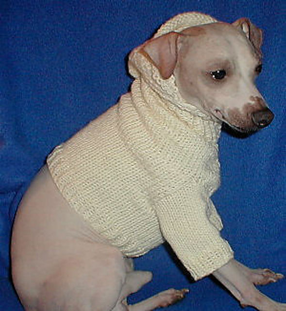 Ravelry: Basic Hound Hoodie pattern by The Lady Wyvern