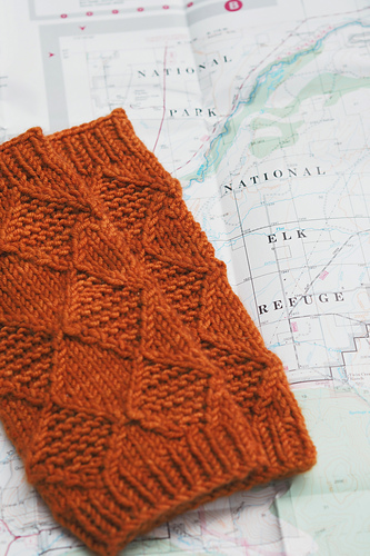 Ravelry: Field Guide Hat & Mitts pattern by Plucky Knitter Design