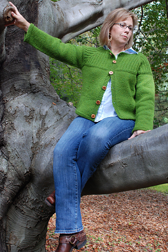 Ravelry: Acer pattern by Kirsten Kapur