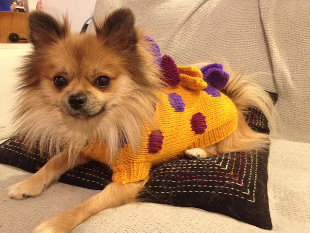 Ravelry: tinarrr's Dogosaurus Rex