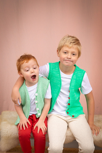 Ravelry: Vest Friends pattern by tincanknits