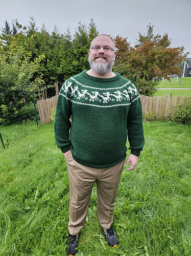 Ravelry: Big Raptor Sweater pattern by Tonje Haugli