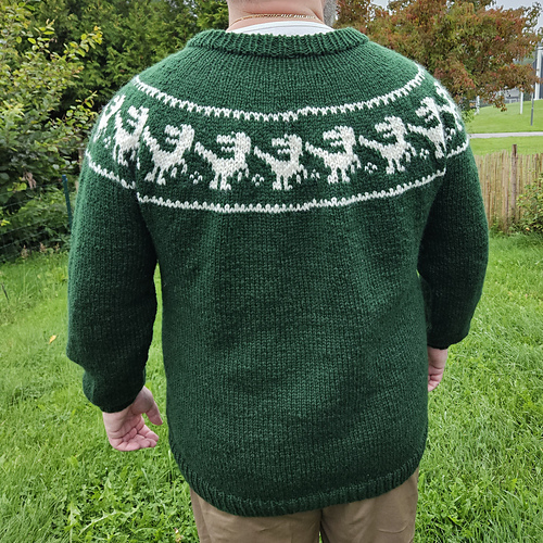 Ravelry: Big Raptor Sweater pattern by Tonje Haugli