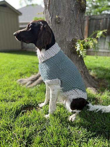 Ravelry: Dog Sweater Perfect Fit - Pattern Generator-& cats pattern by ...