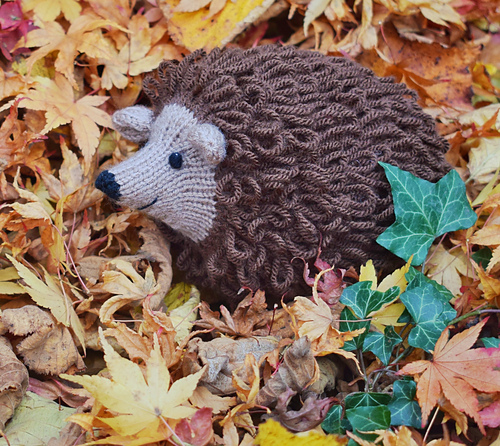 Ravelry: Hector the Hedgehog pattern by Trish Roberts | trishlemoose